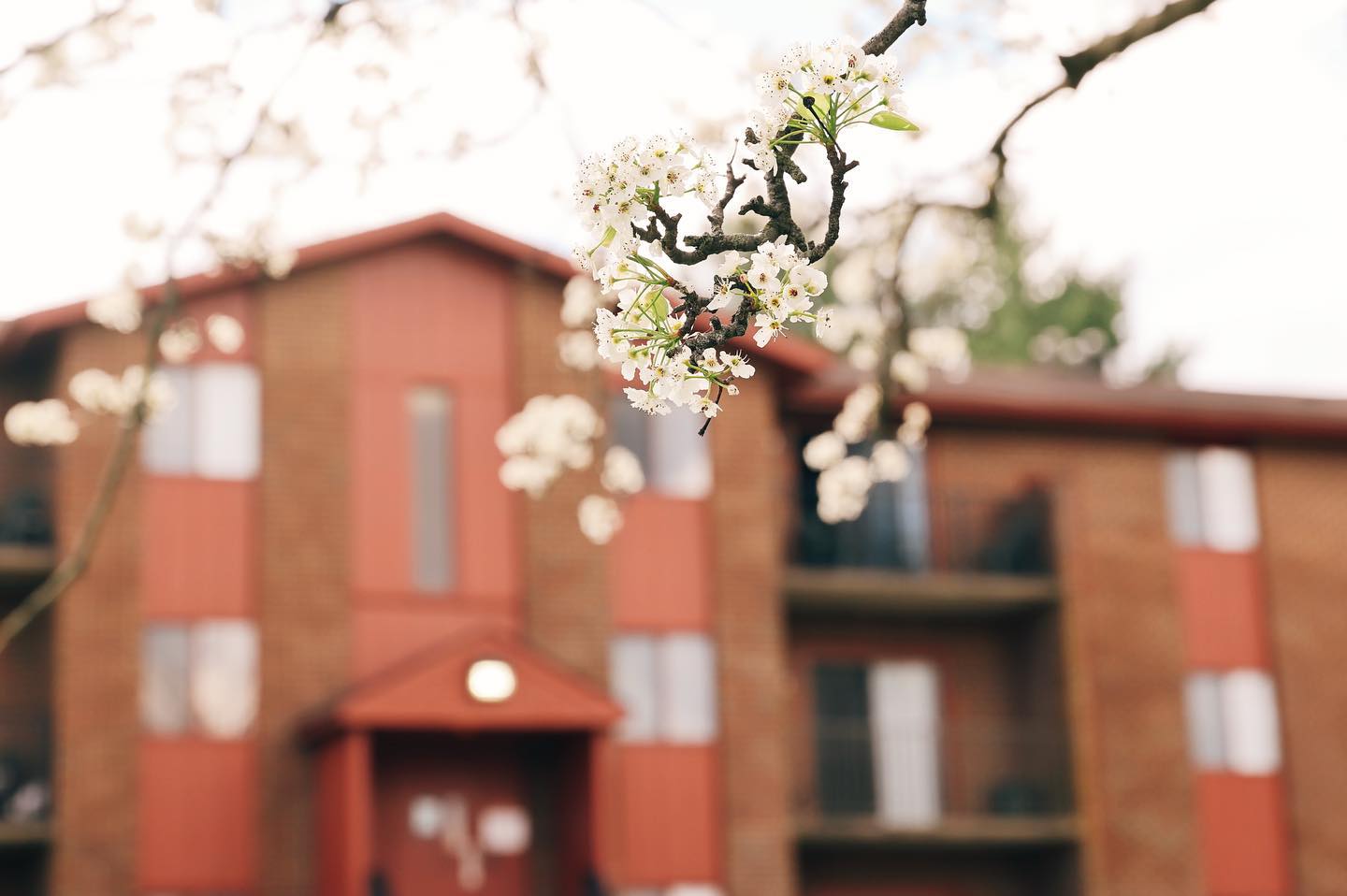 Frequently Asked Questions - Goldey-Beacom College